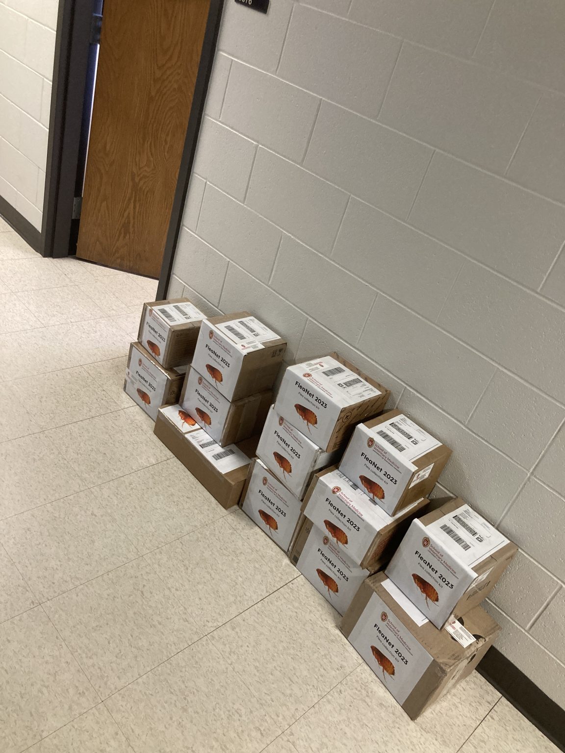 First flea collection kits shipping today! – FleaNet: Flea-borne ...